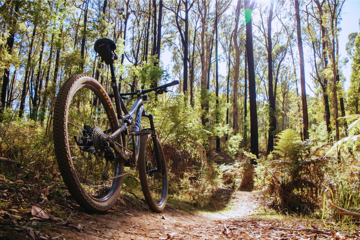 The Ultimate Austin Cycling Guide 2025: Best Trails, Routes & Resources ...